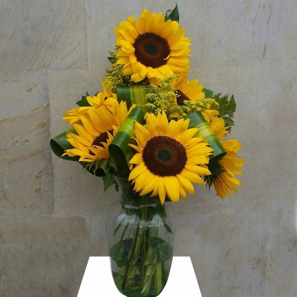 Ramos En Girasoles Floristería A Domicilio En Bogotá Entrega El